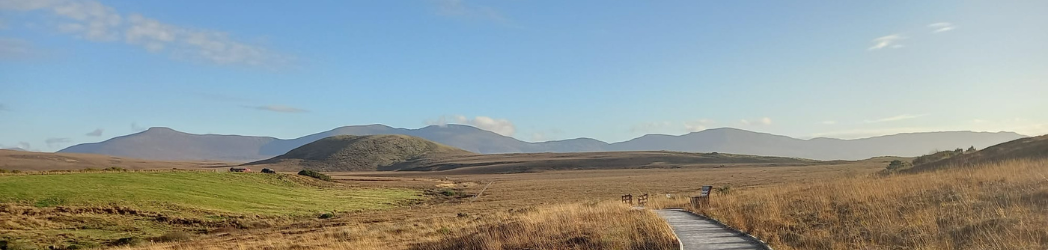 Importance of Blanket Bogs - Natura Communities
