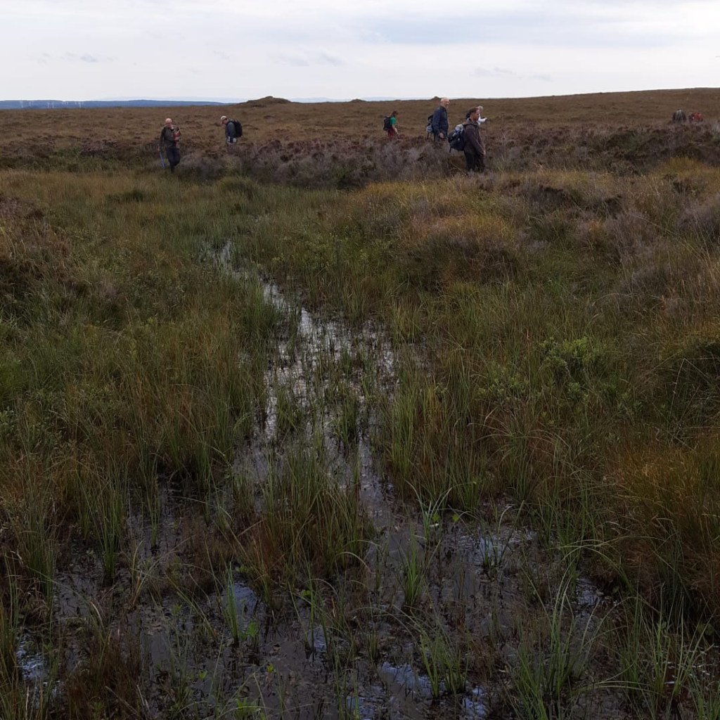 Importance of Blanket Bogs - Natura Communities