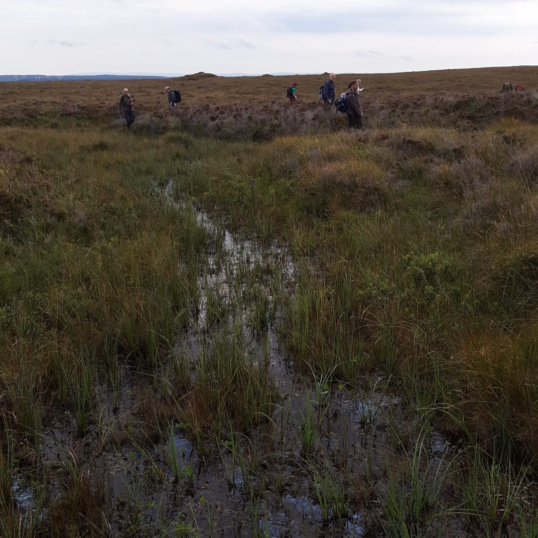 Importance of Blanket Bogs - Natura Communities