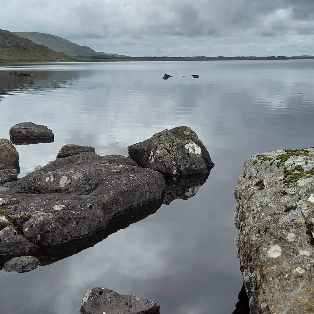 Importance of Blanket Bogs - Natura Communities